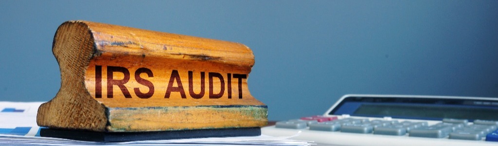 The Easiest Way to Survive an IRS Audit Is to Get Ready In Advance.